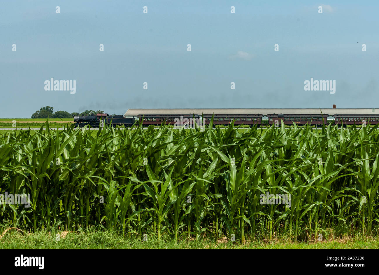 Antique Passenger Train Steaming Along Countryside Passing Field of ...