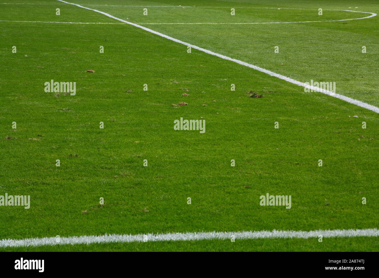 Football pitch texture hi-res stock photography and images - Alamy