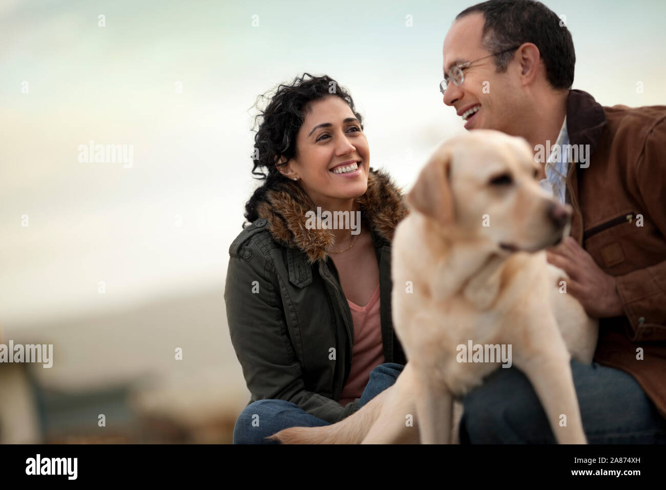 Golden labrador couple hi-res stock photography and images - Alamy