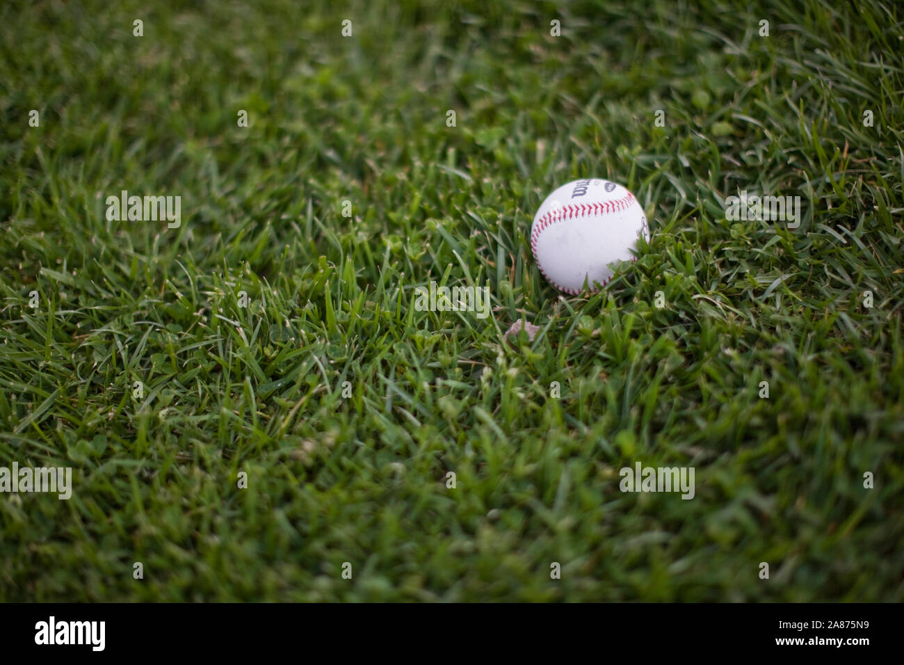 Single baseball lying on green glass Stock Photo - Alamy