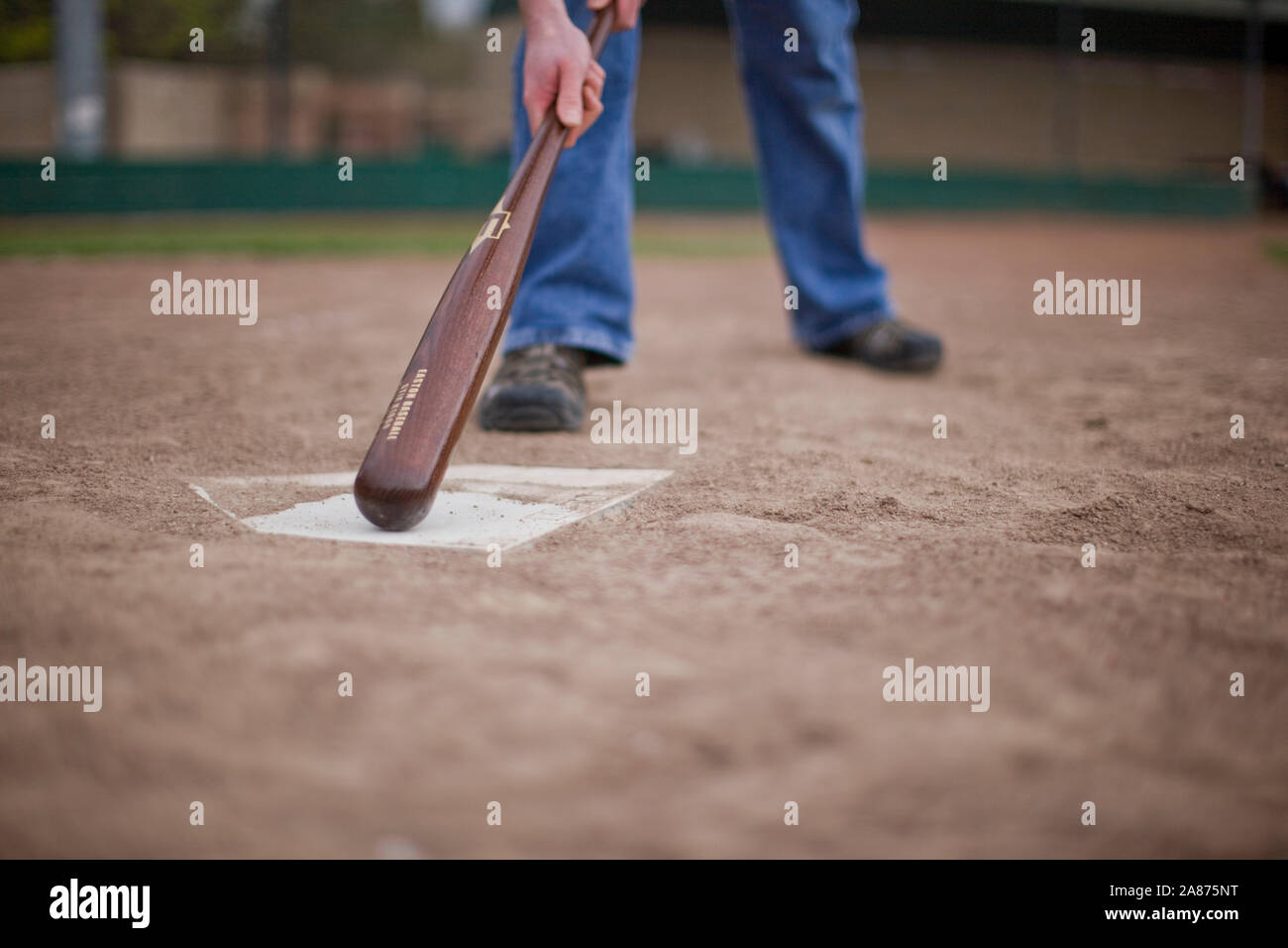 Person Holding Bats High Resolution Stock Photography and Images - Alamy