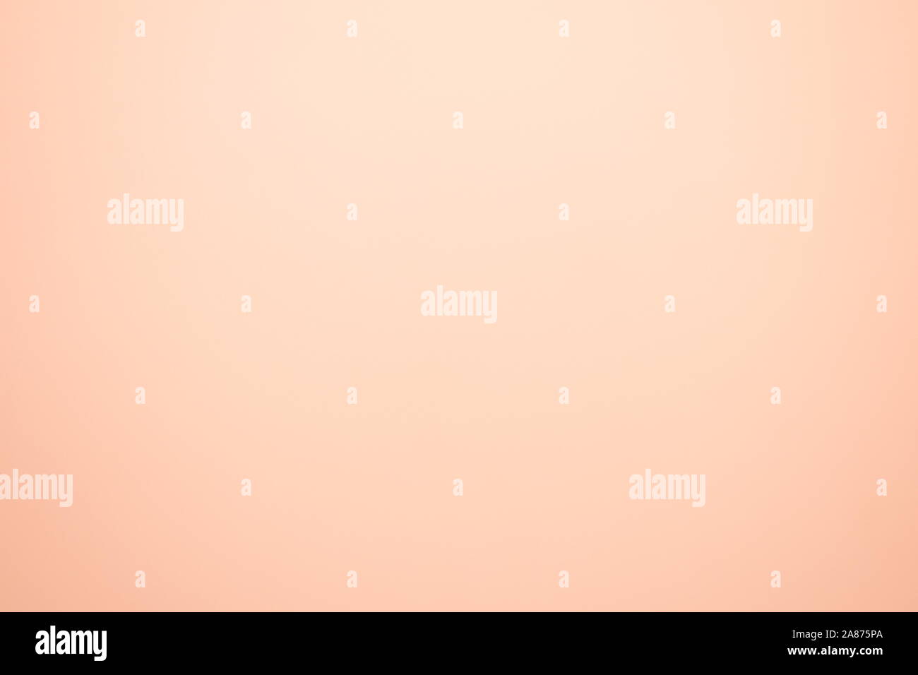 Pink background texture, for banner or web. One single color Stock ...