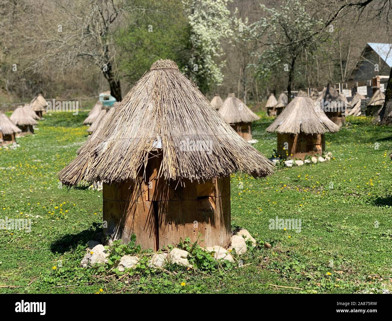Bee hive in the form of houses on green grass Stock Photo - Alamy