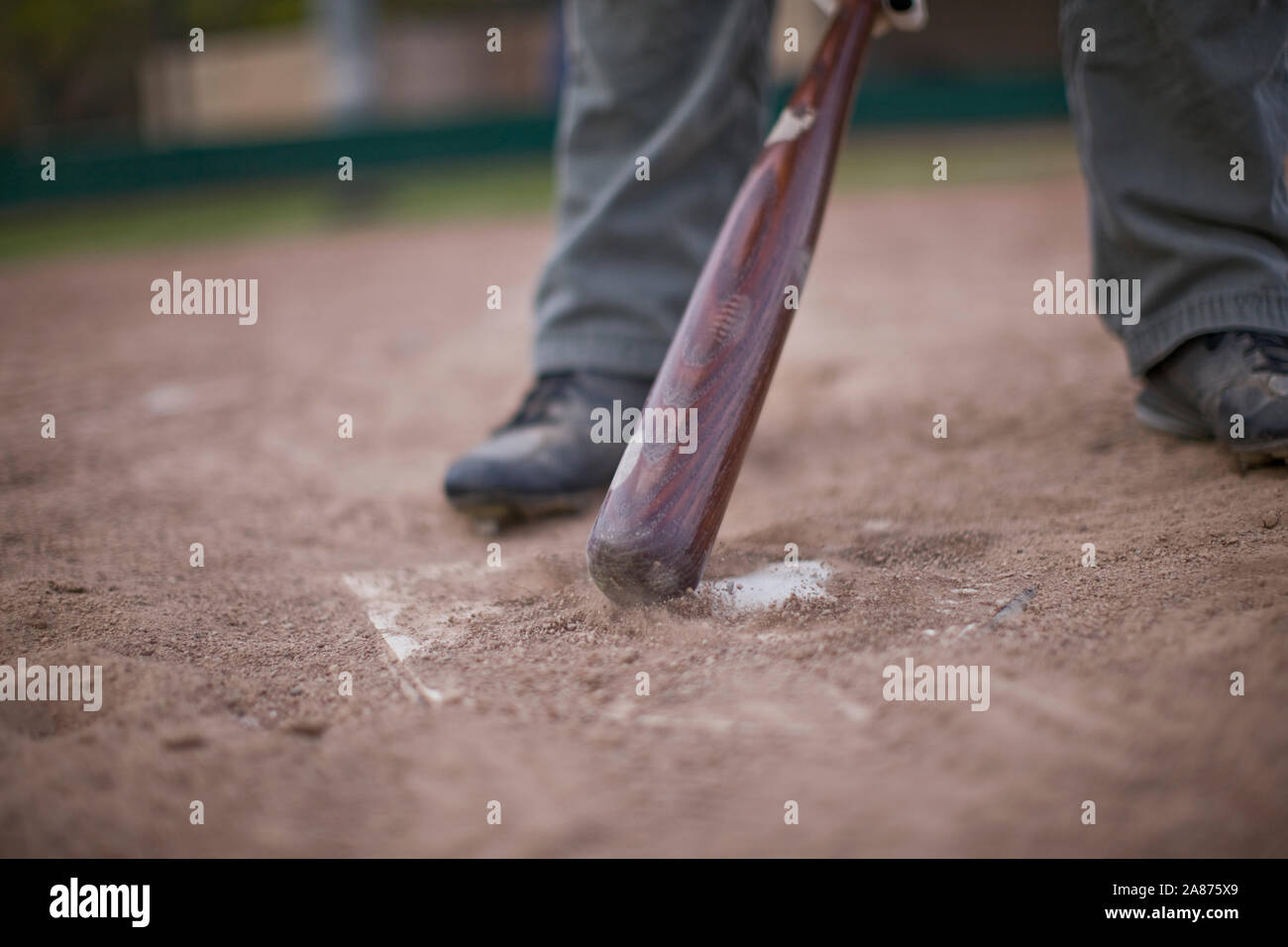 Person holding bats hi-res stock photography and images - Alamy