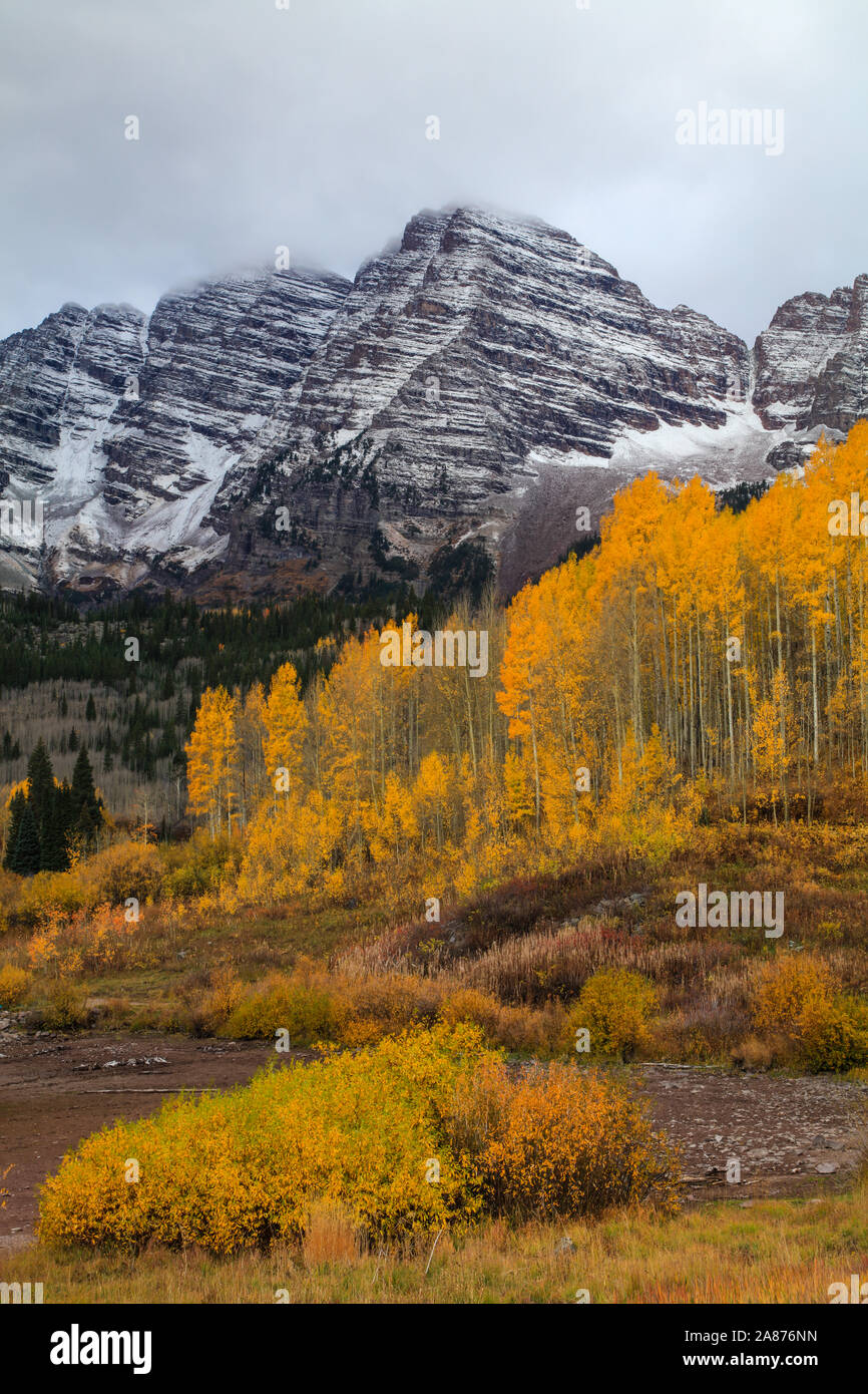 Maroon and yellow colors hi-res stock photography and images - Alamy