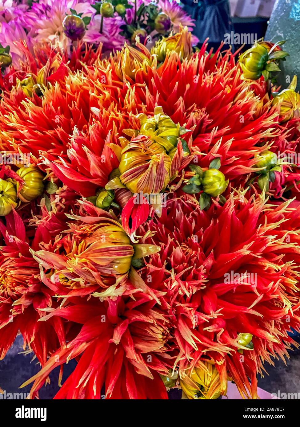 Pike Place Market - Seattle, Washington - bouquet of orange and yellow ...
