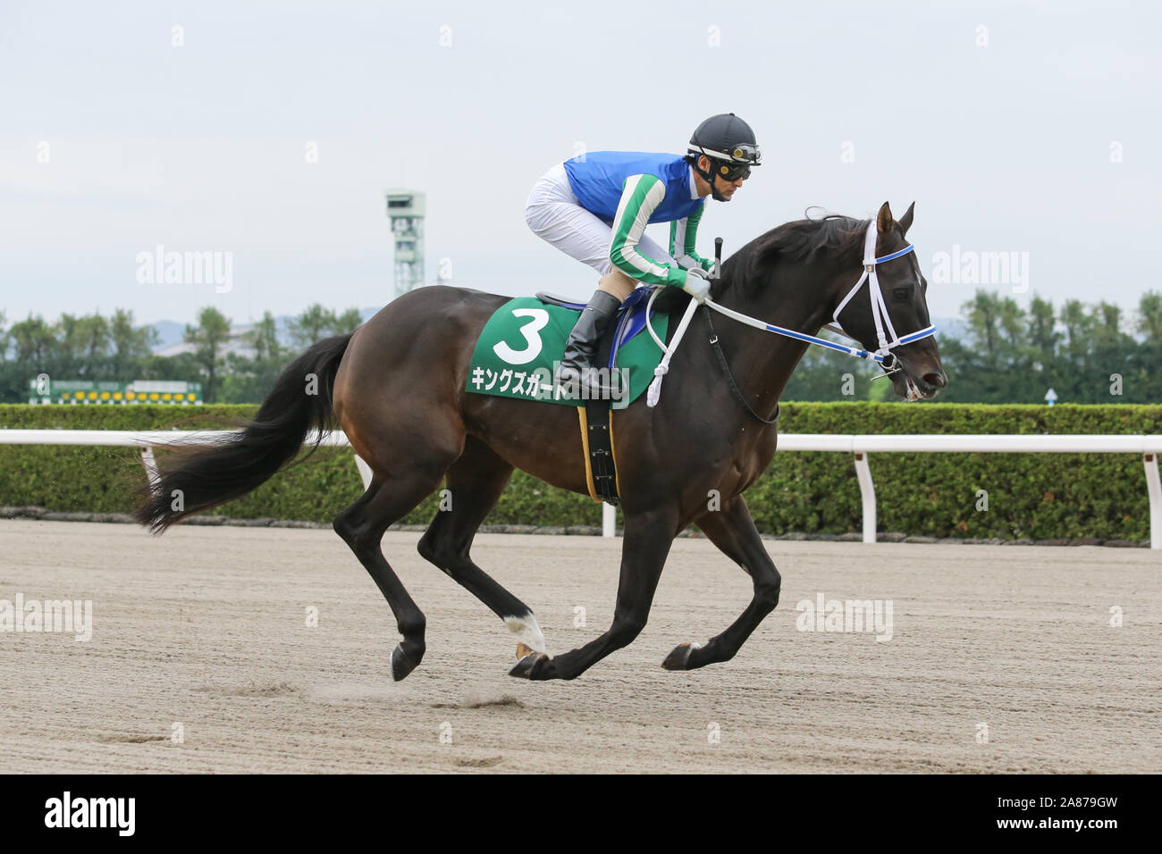 Kyoto, Japan. 3rd Nov, 2019. King's Guard (Shinichiro Akiyama) Horse ...