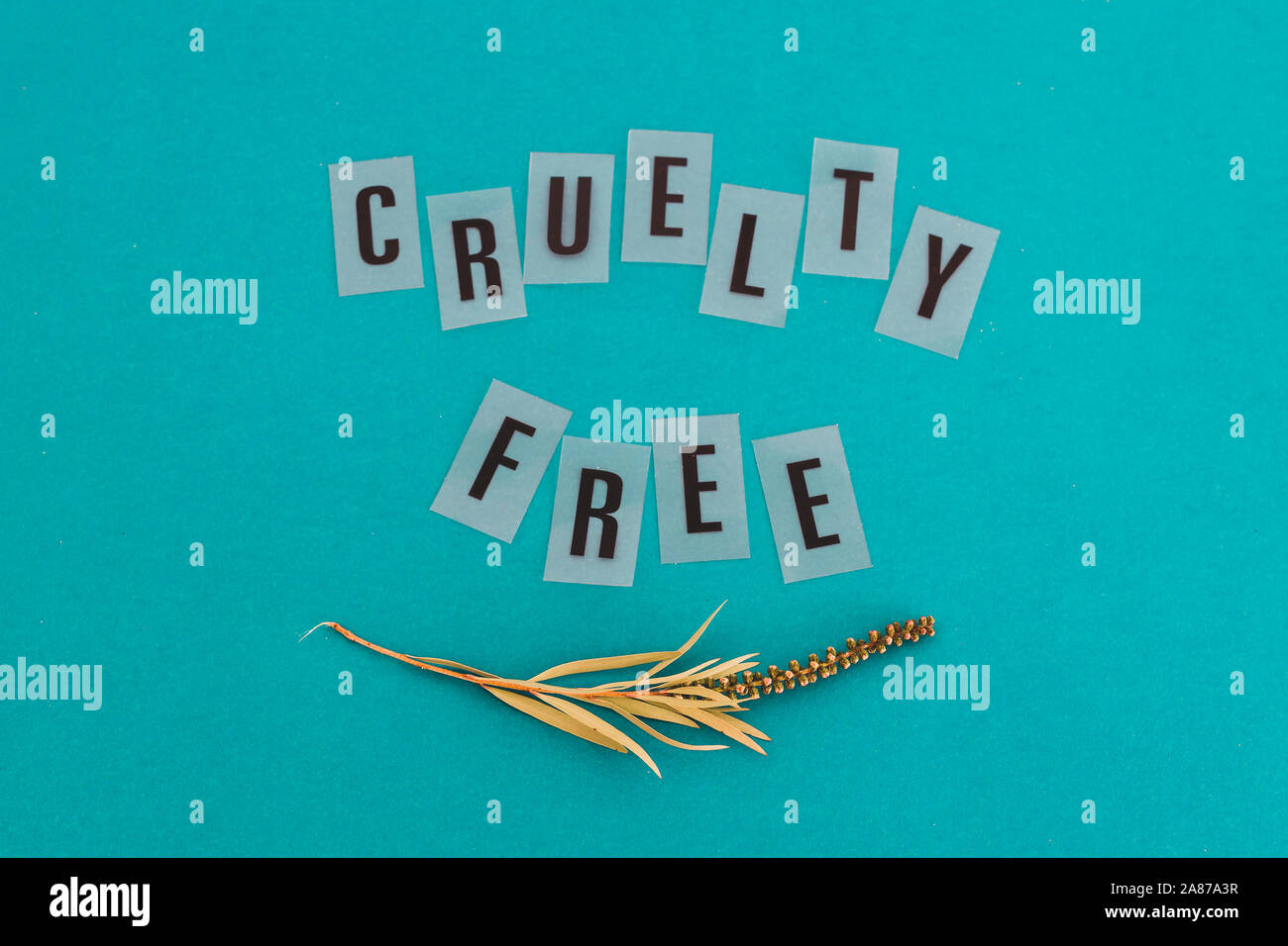 Ethically sourced ingredients hi-res stock photography and images - Alamy