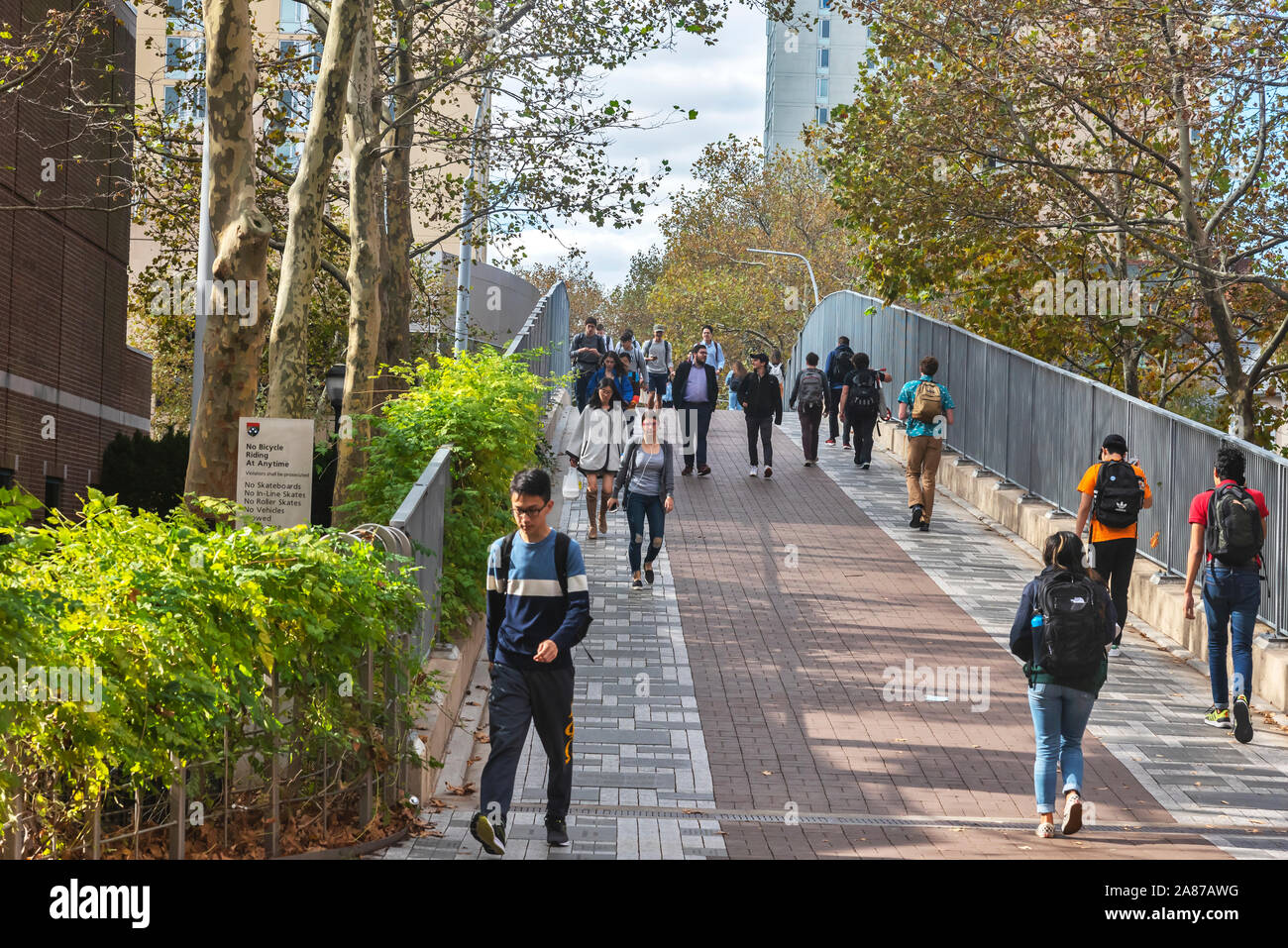 The University of Pennsylvania ,Philadelphia, Pennsylvania, USA Stock ...