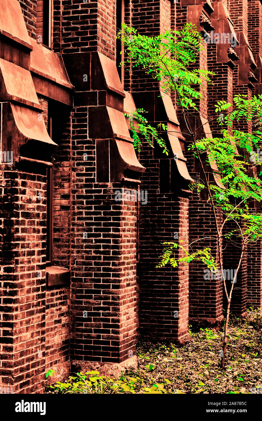 Architecture detail of old building, The University of Pennsylvania ...
