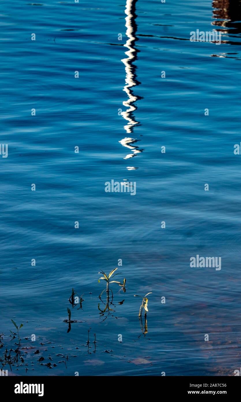 Squiggles hi-res stock photography and images - Alamy