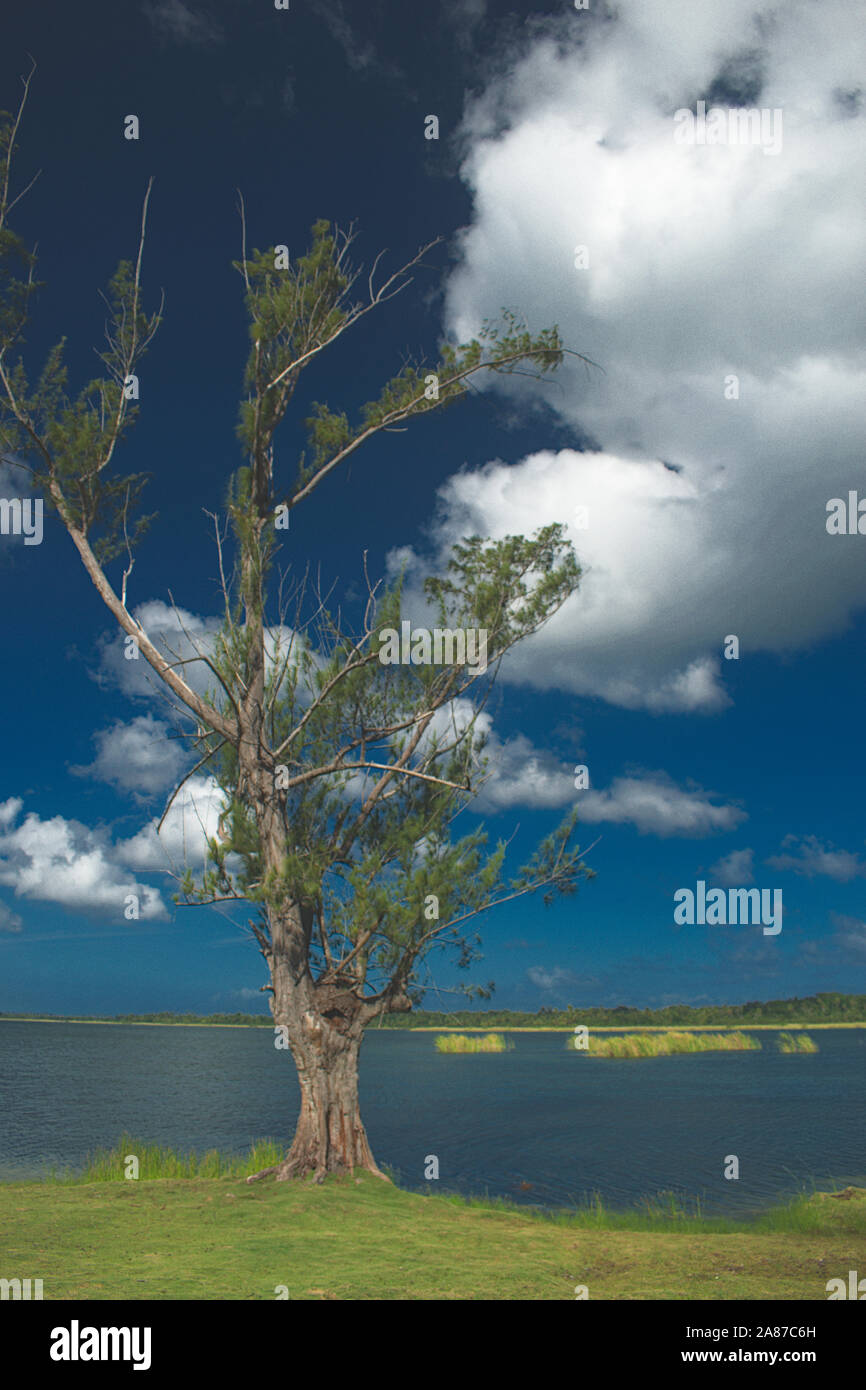 Enchanted lagoon hi-res stock photography and images - Alamy