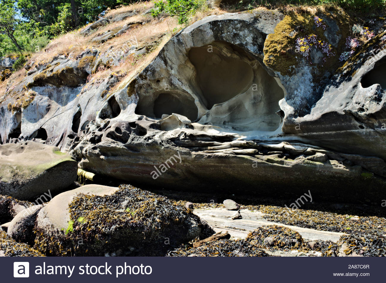Hillside Erosion Stock Photos & Hillside Erosion Stock Images - Alamy