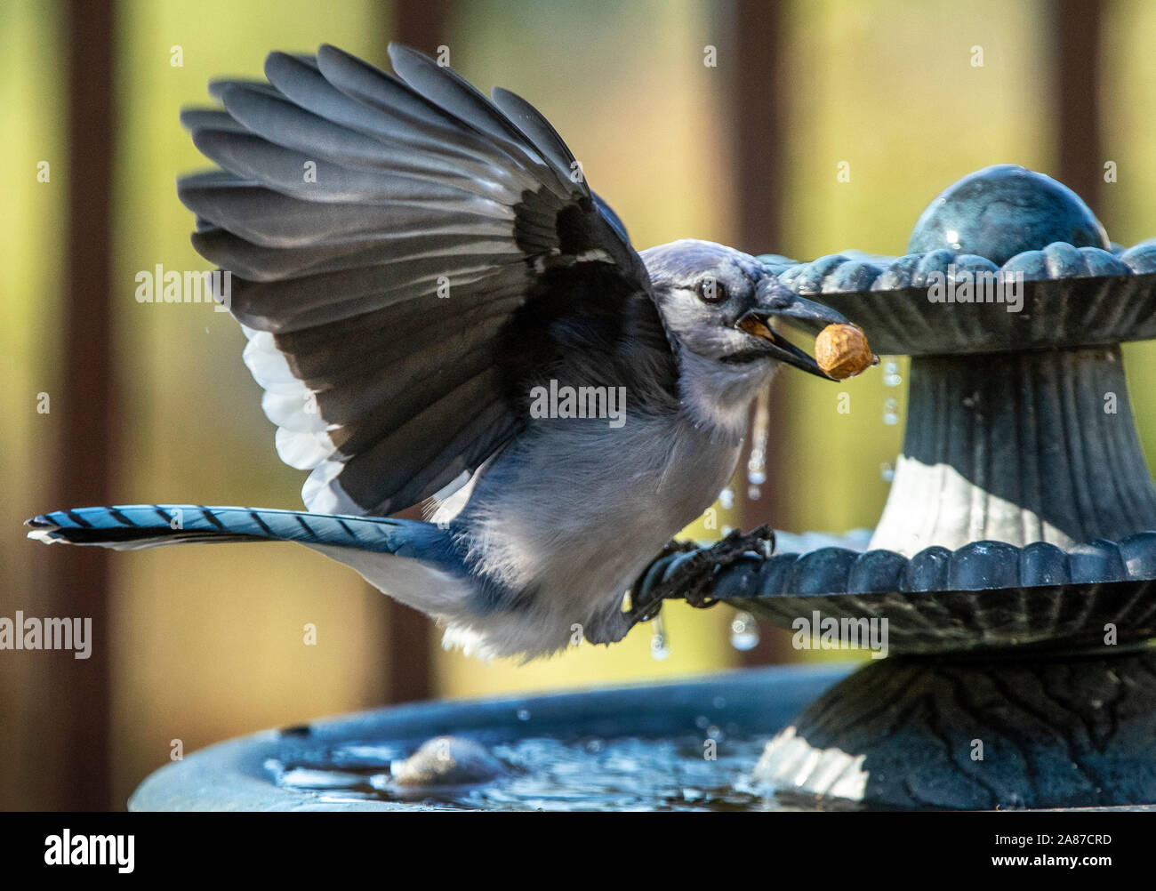 Edge spread hi-res stock photography and images - Alamy