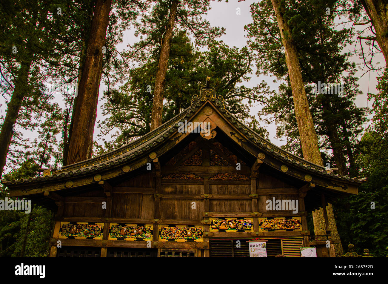 Japanese house gate hi-res stock photography and images - Alamy