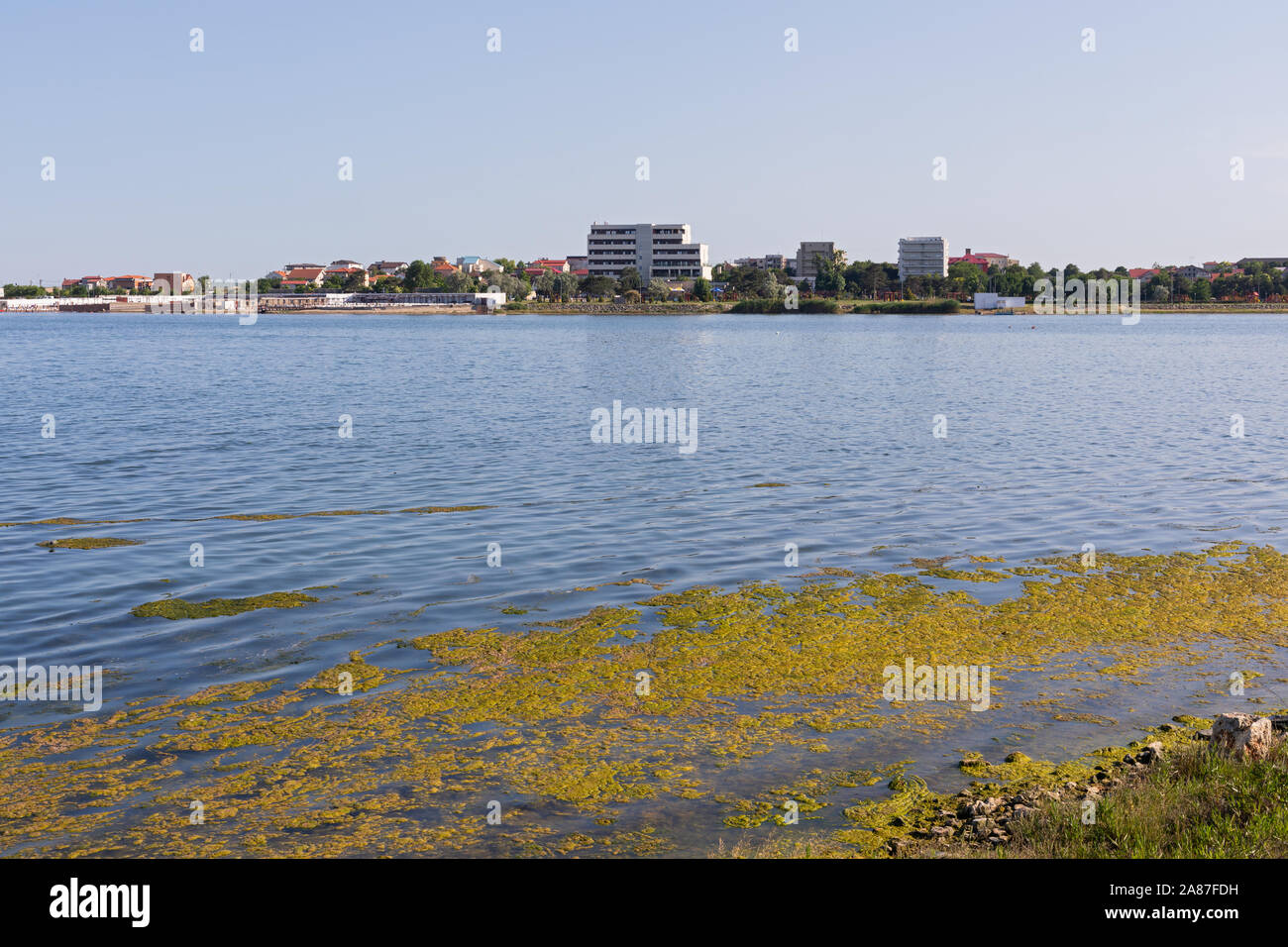 Photo of a coastline full with green seaweed, at Lake Techirghiol ...