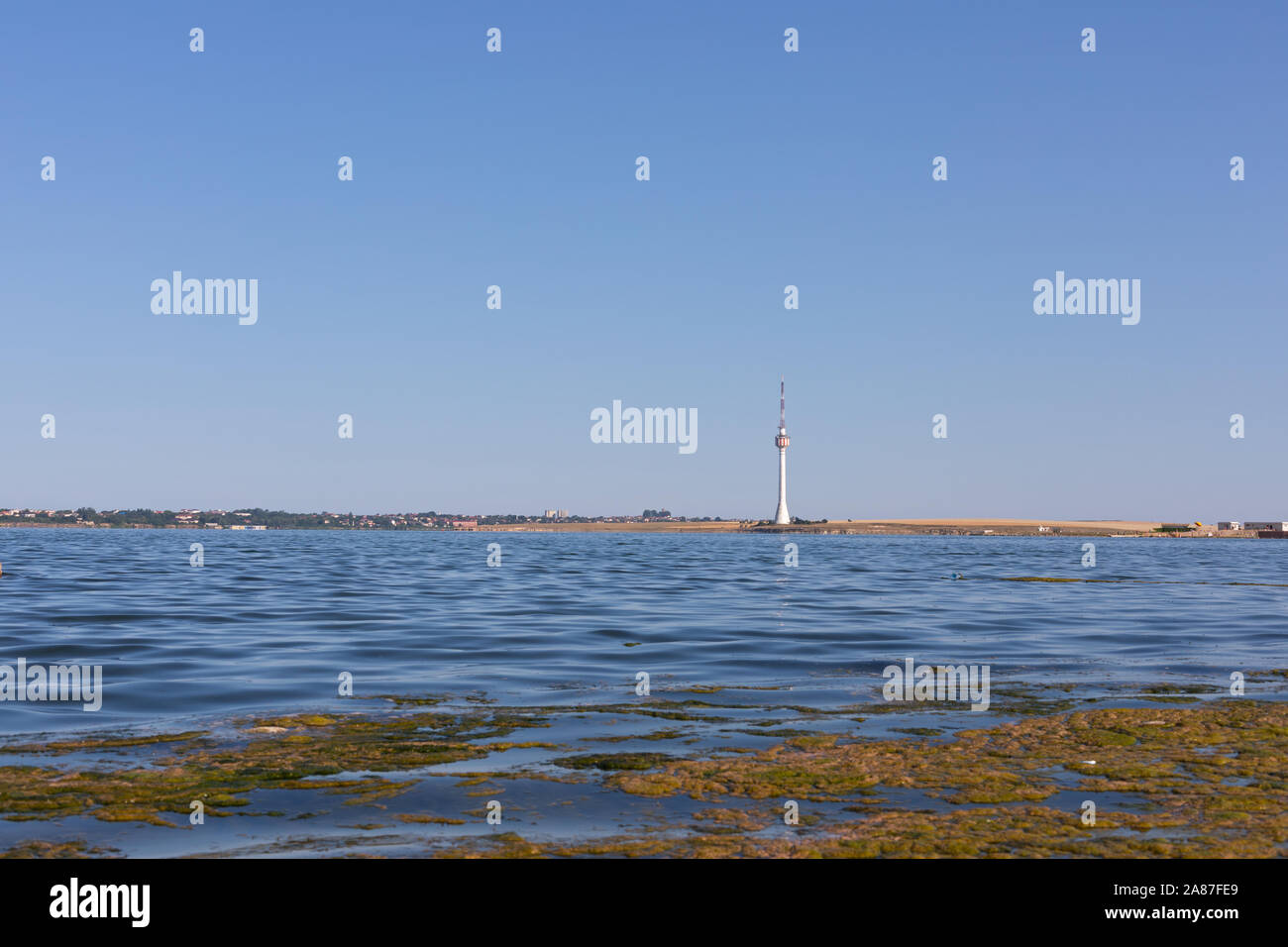 Photo of a coastline full with green seaweed, at Lake Techirghiol ...