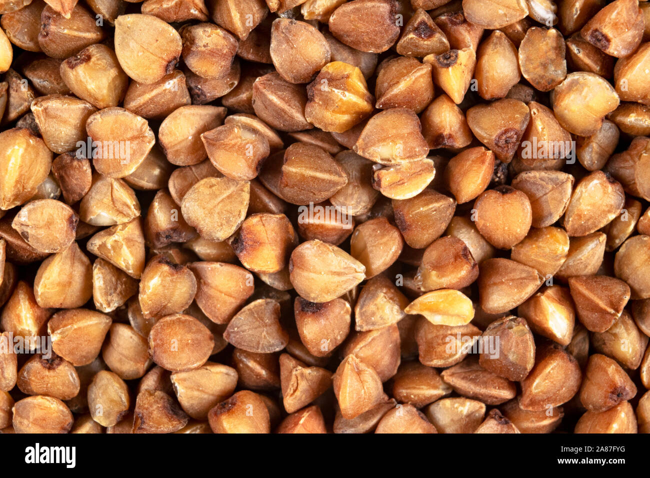 Buckwheat. Background texture of buckwheat. Macro shot of buckwheat ...