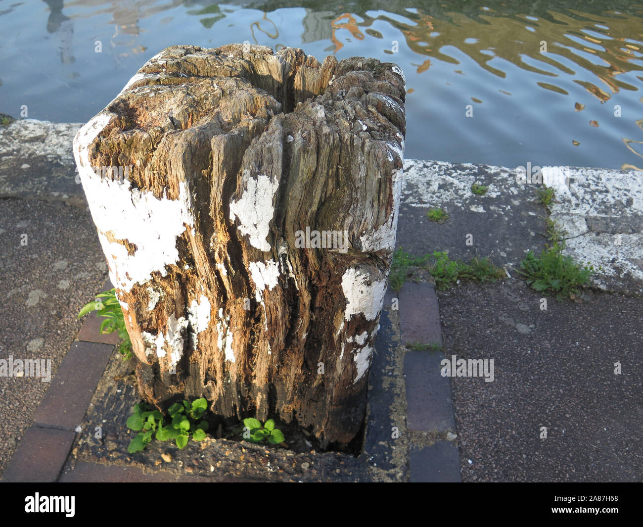 Large worn white painted wooden mooring block at lock chamber on Grand ...