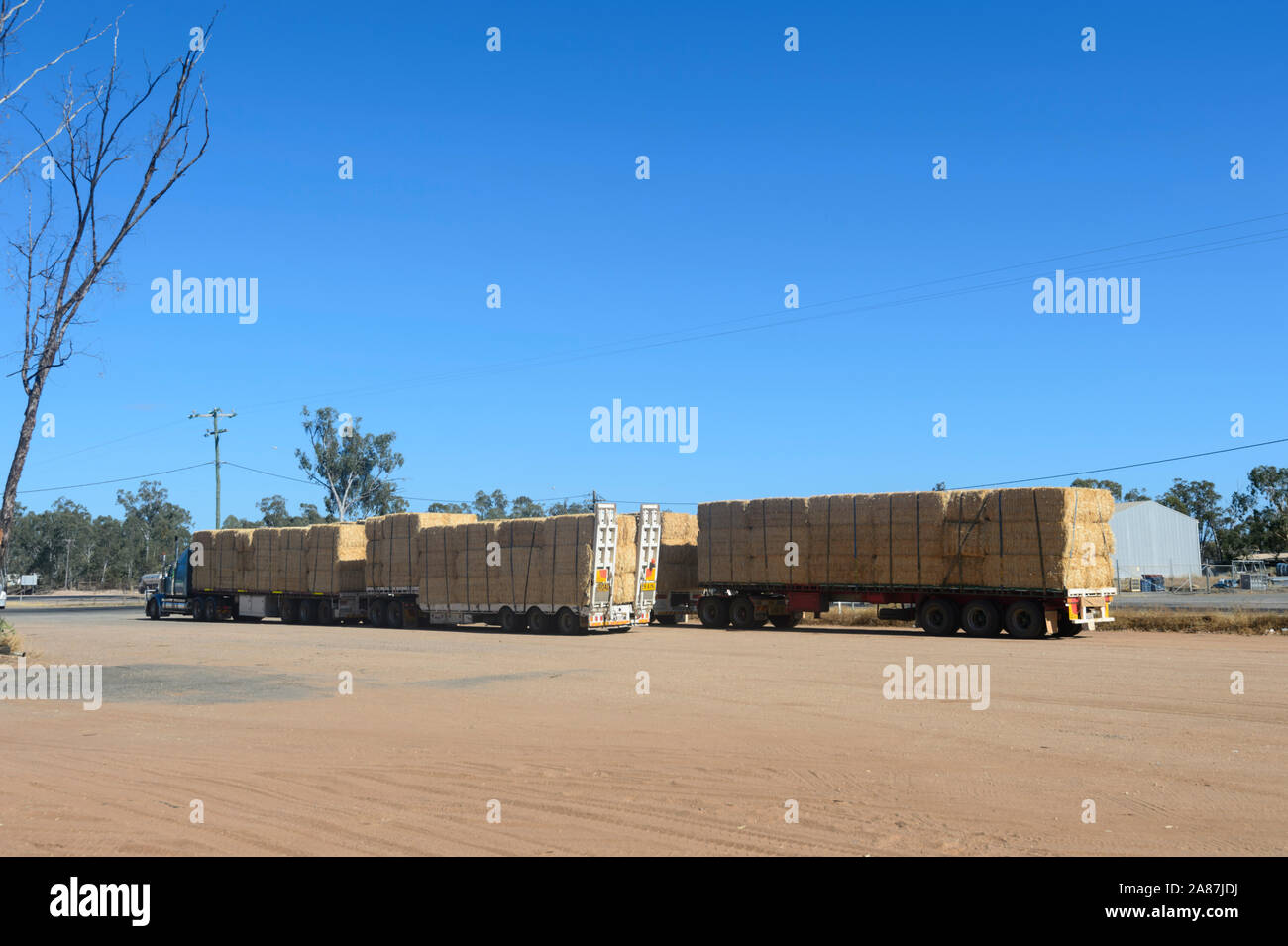 Road train delivering relief hay to the farmers struck by the worst ...