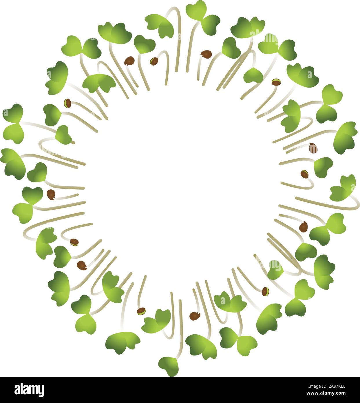 Microgreens Mustard. Arranged in a circle. Vitamin supplement, vegan ...