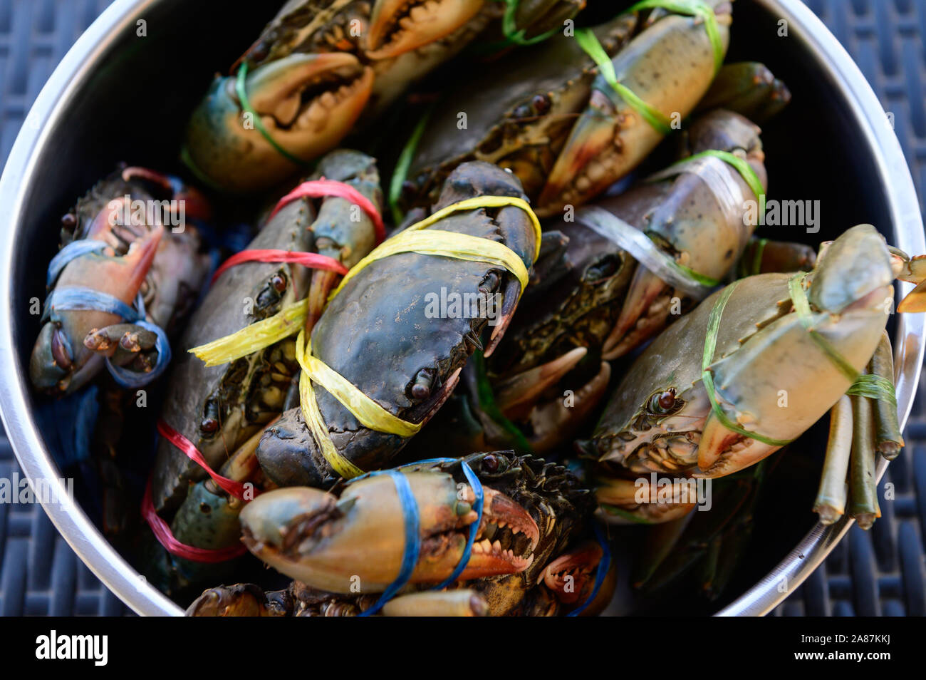 Giant mud crab hi-res stock photography and images - Alamy