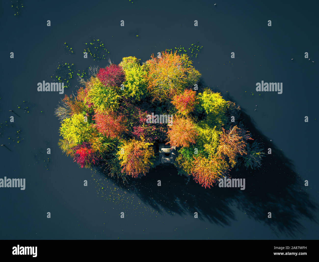 Bright and colorful autumn trees on a small island in the middle of a ...