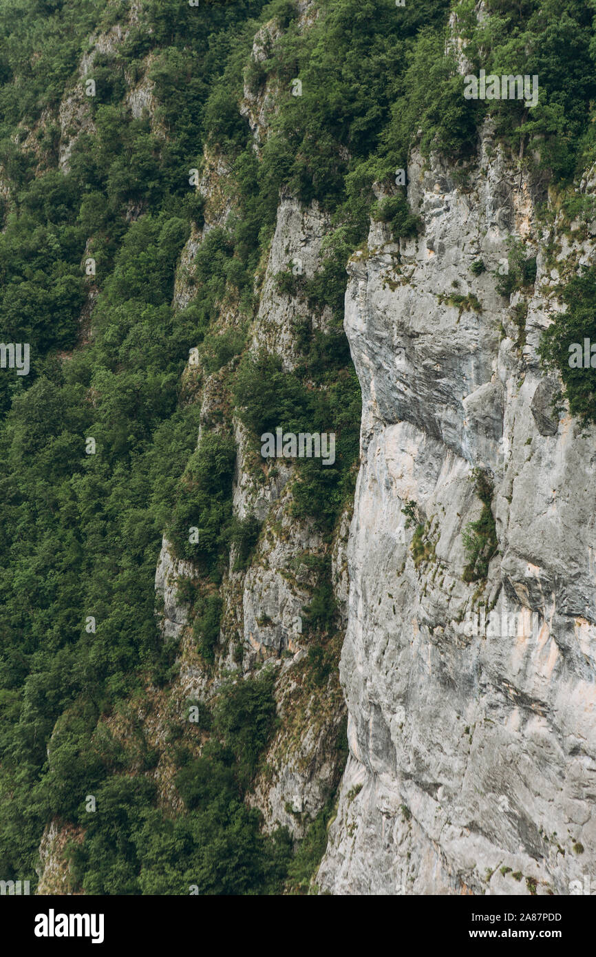 A sheer cliff or part of a mountain with trees. Natural landscape Stock ...