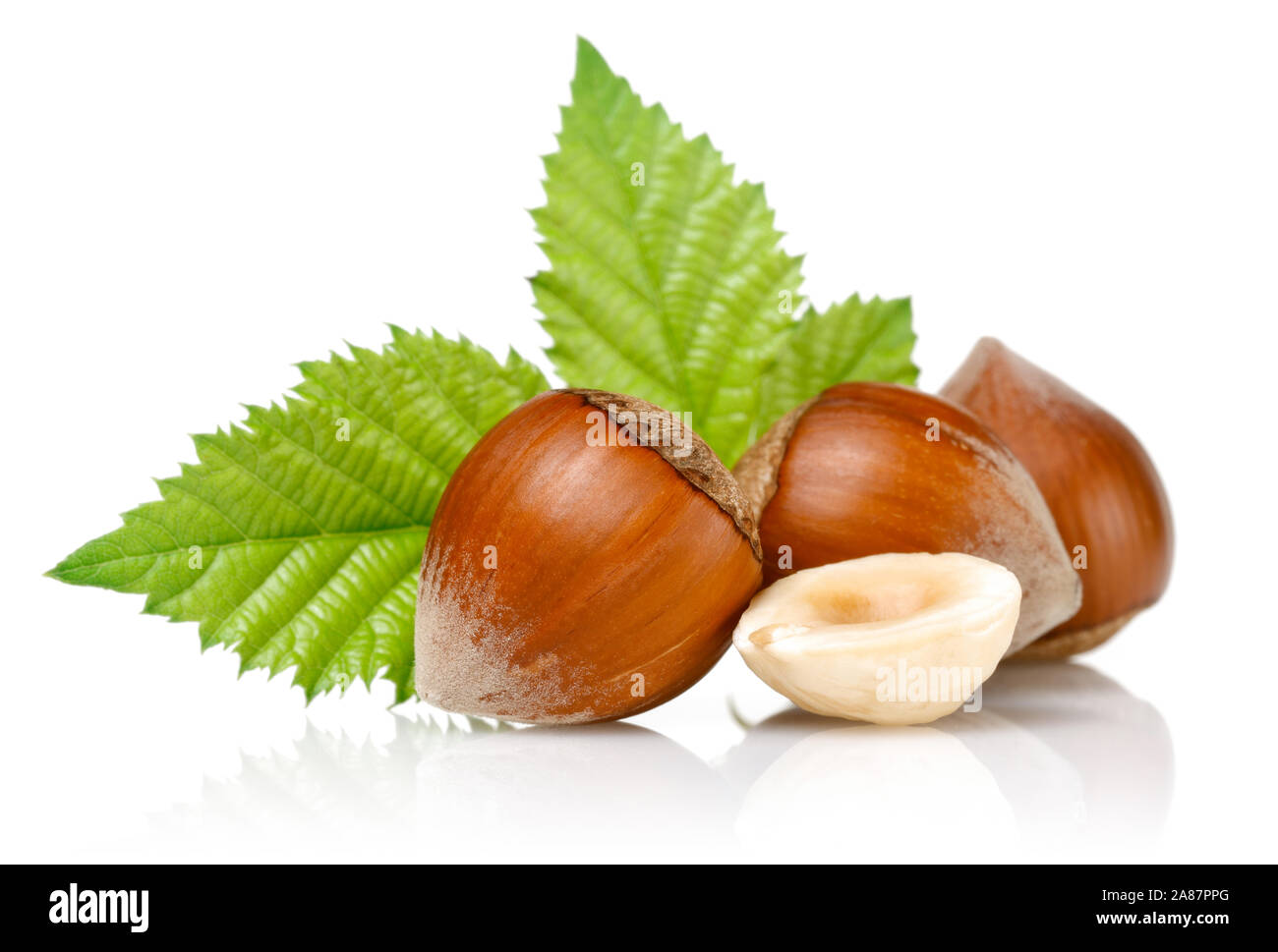 Group of hazelnuts with green leaves isolated on white background Stock ...