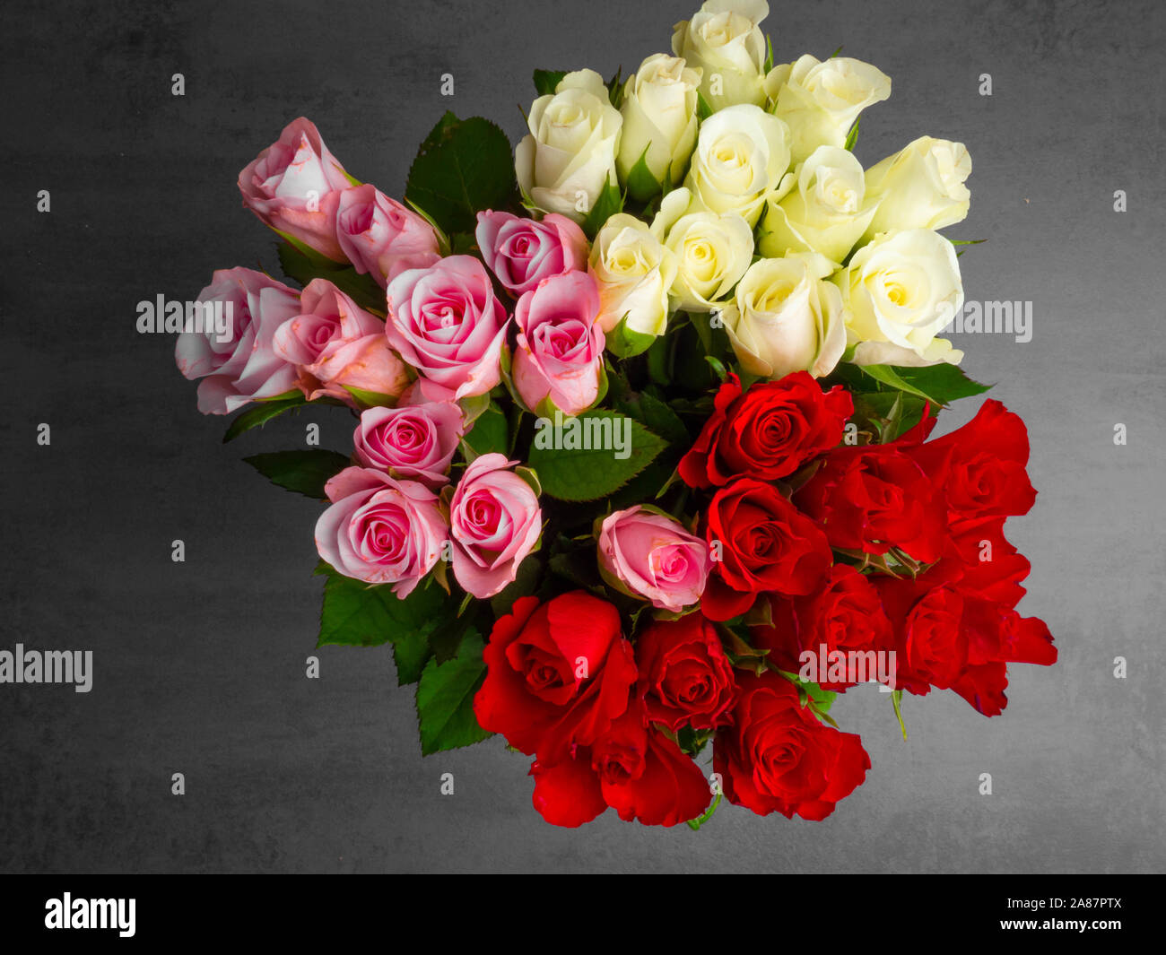 Different Color Roses High Resolution Stock Photography and Images - Alamy