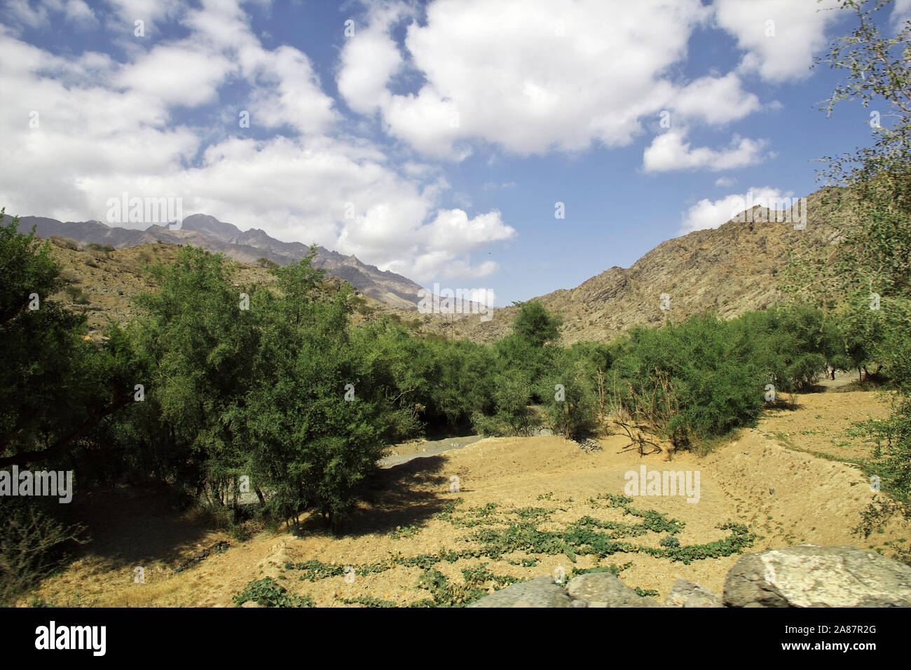 Wadi sara hi-res stock photography and images - Alamy