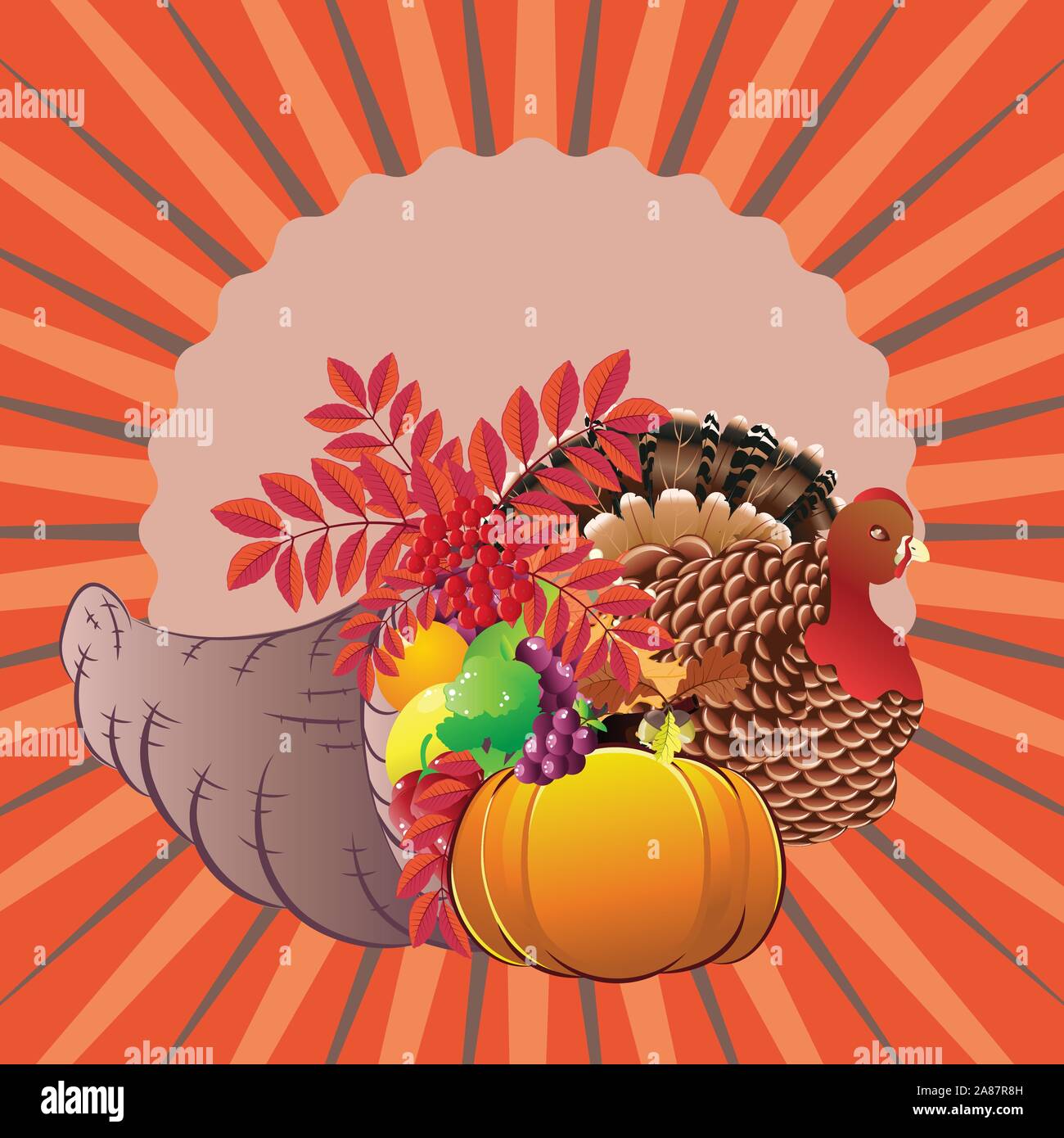Traditional Thanksgiving horn of plenty, cornucopia and turkey cartoon ...