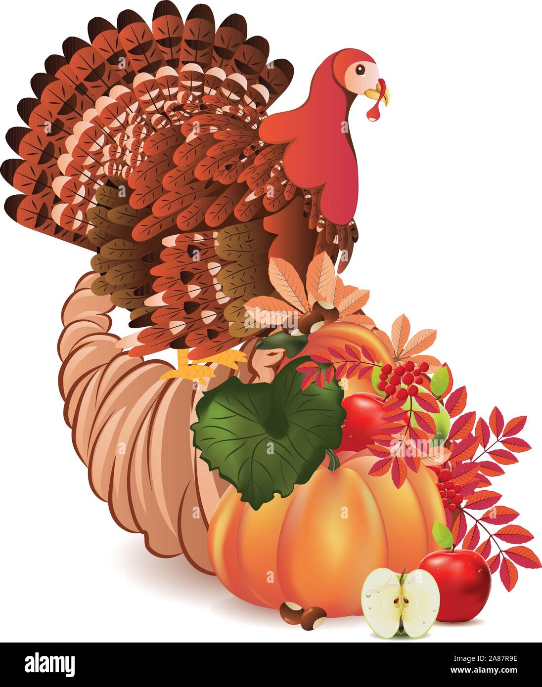 Traditional Thanksgiving horn of plenty, cornucopia and turkey cartoon ...
