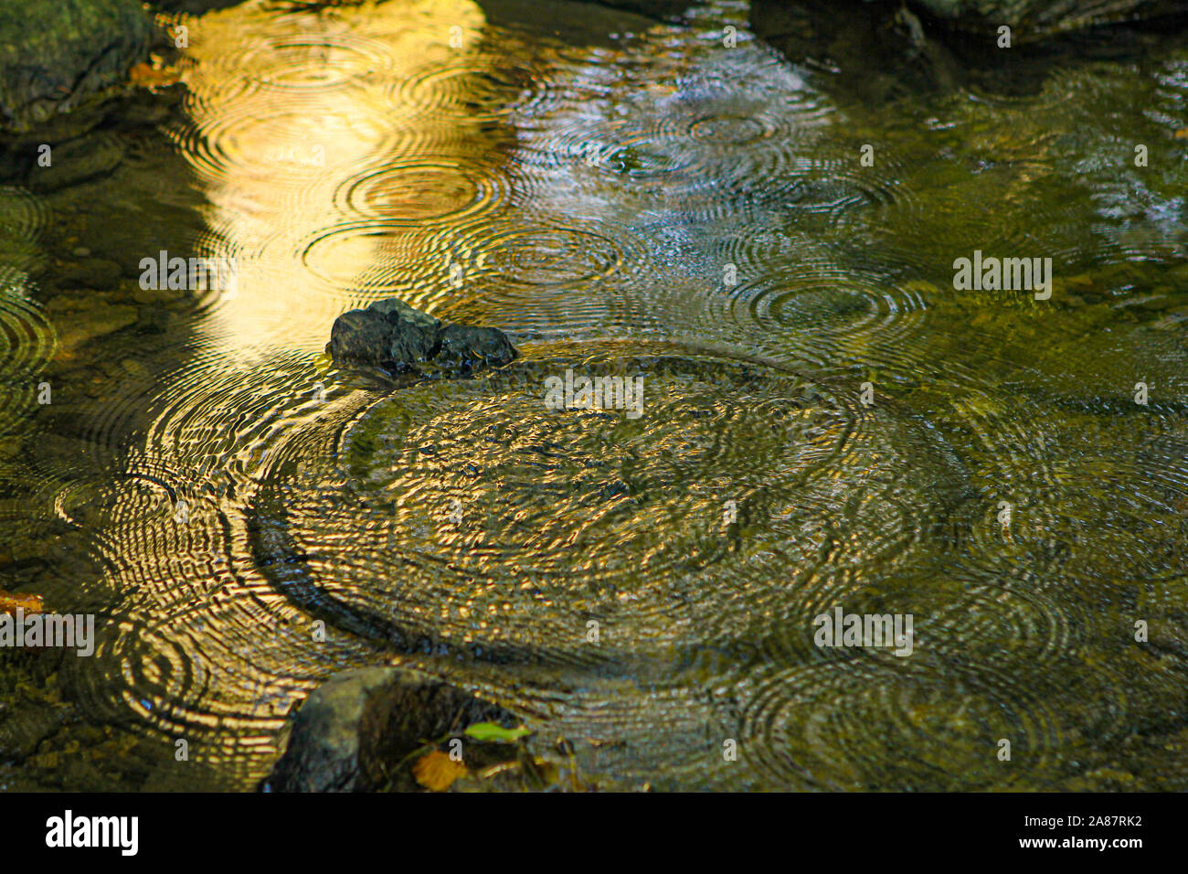 Water ripples reflection blue white circle hi-res stock photography and ...