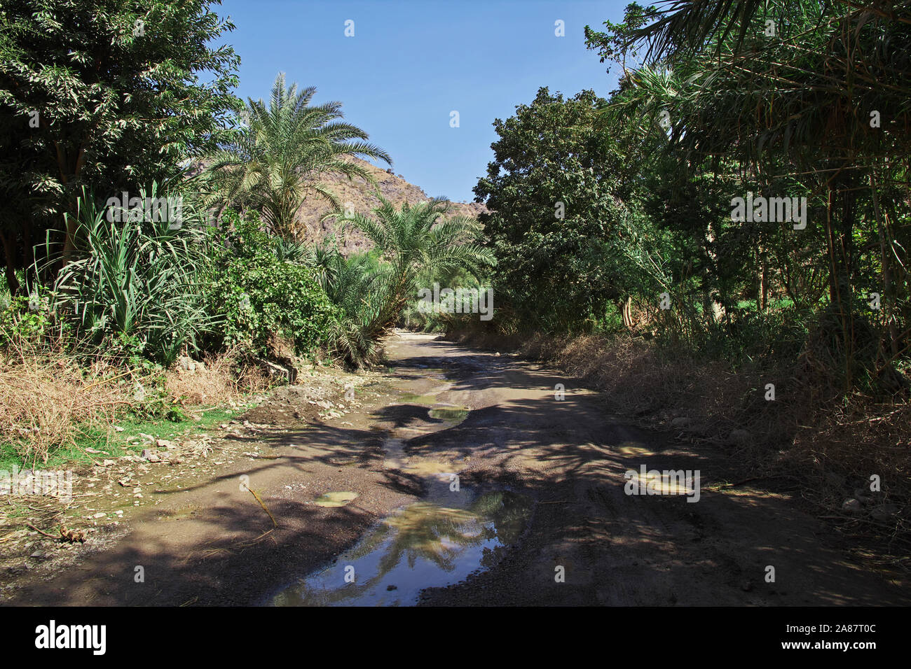 Wadi Sara in mountains, Yemen Stock Photo - Alamy