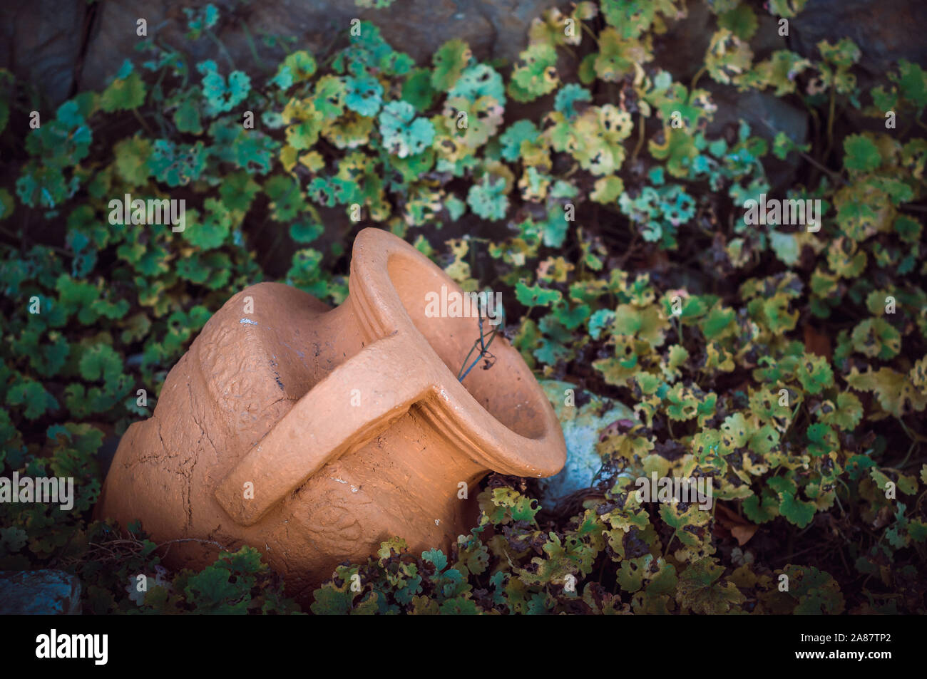 Old clay amphora in the ground against the background of green grass ...