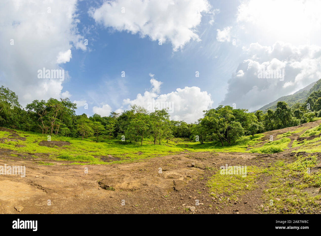 View of the tropical forest in the Sanjay Gandhi National Park Mumbai ...