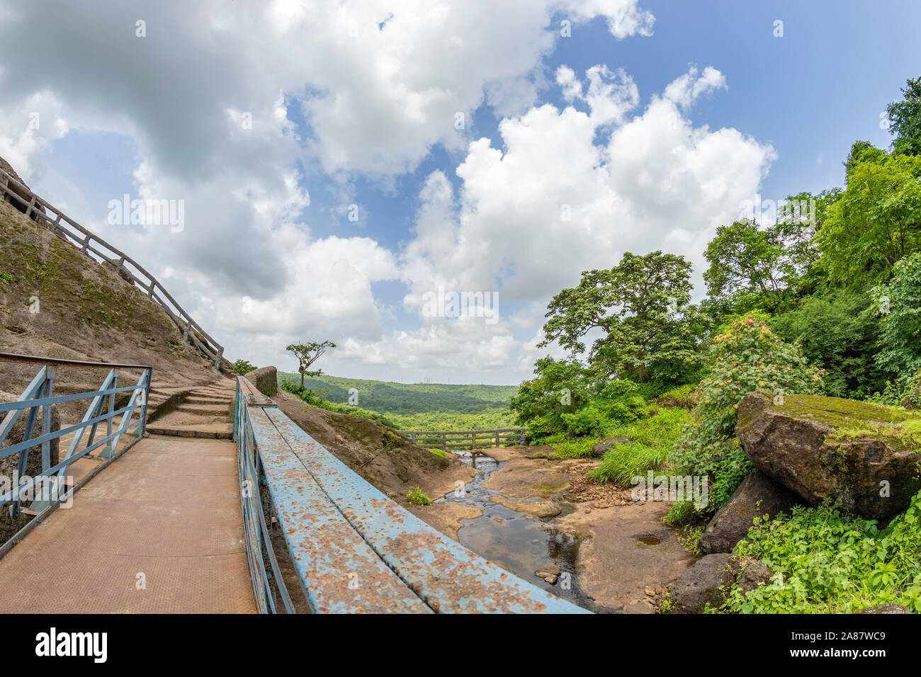View of the tropical forest in the Sanjay Gandhi National Park Mumbai ...