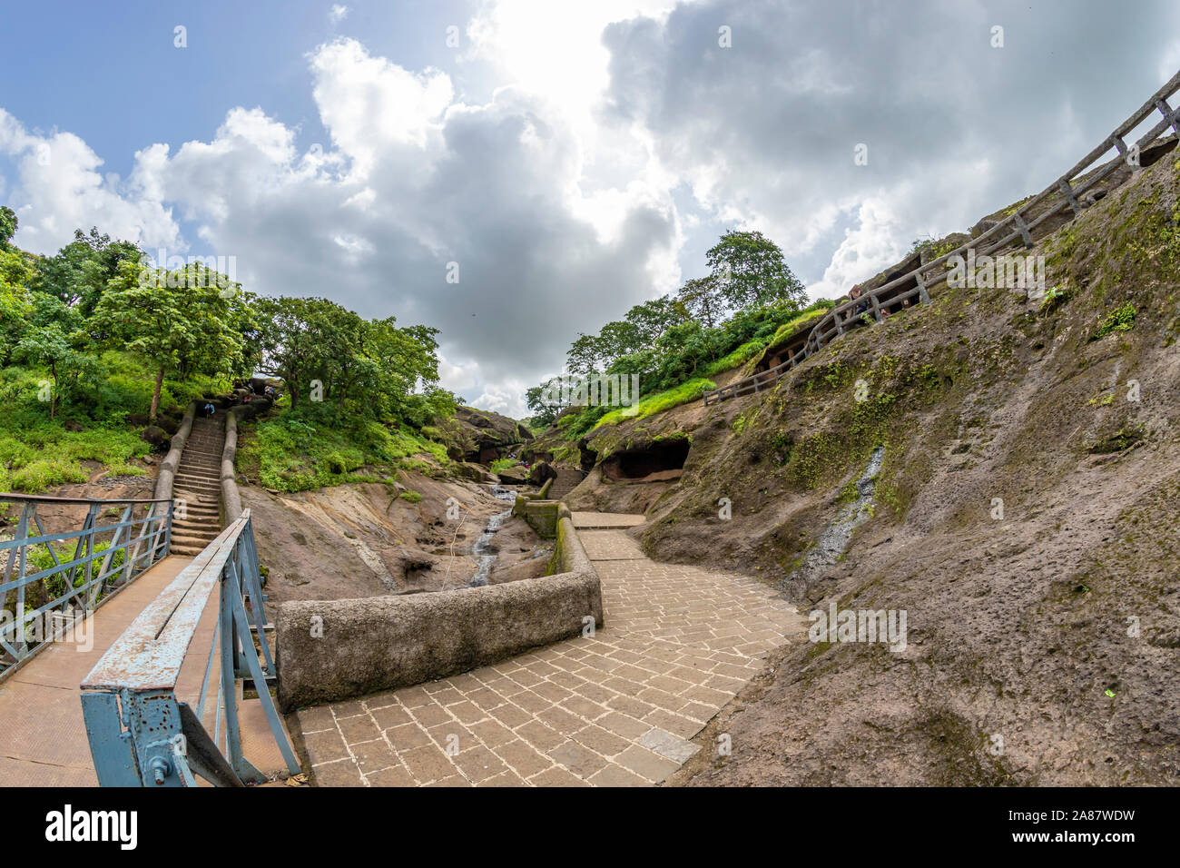 View of the tropical forest in the Sanjay Gandhi National Park Mumbai ...