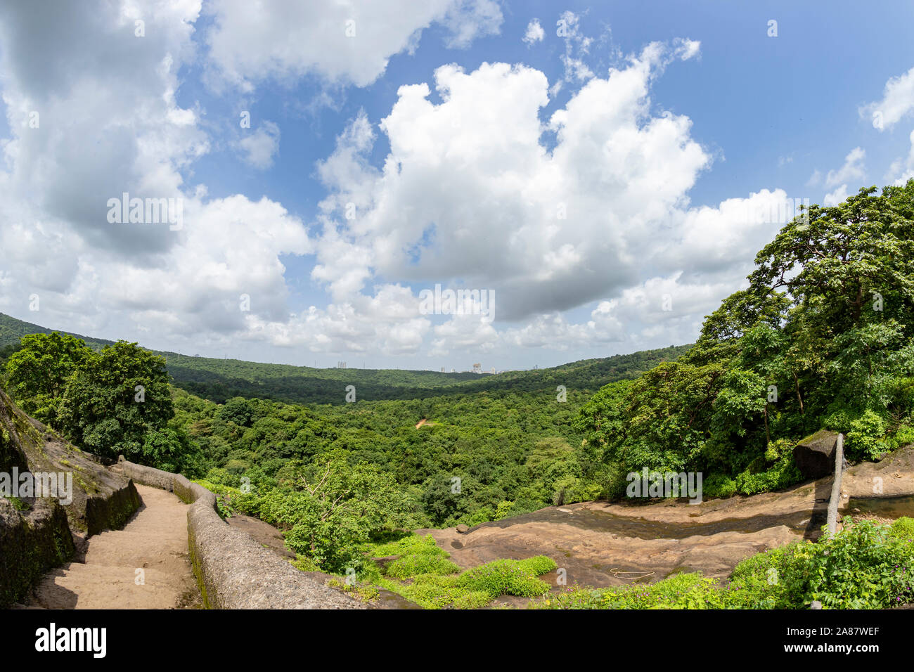 View of the tropical forest in the Sanjay Gandhi National Park Mumbai ...