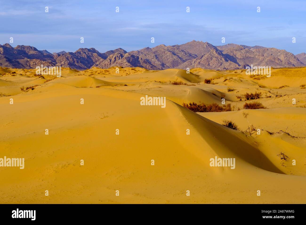 Sand dunes of Elsen Tasarkhai, Bulgan Aimag, Bulgan Province, Mongolia ...