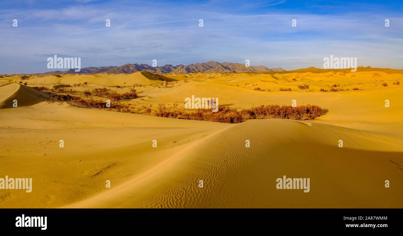 Sand dunes of Elsen Tasarkhai, Bulgan Aimag, Bulgan Province, Mongolia ...