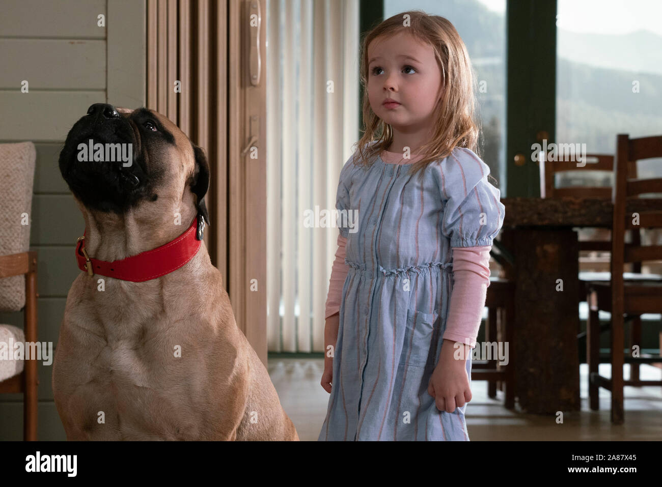 Finley rose hi-res stock photography and images - Alamy