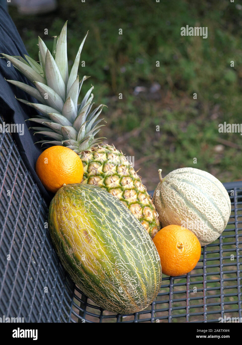 tropical fruits decorated on a metal grid bench Stock Photo - Alamy