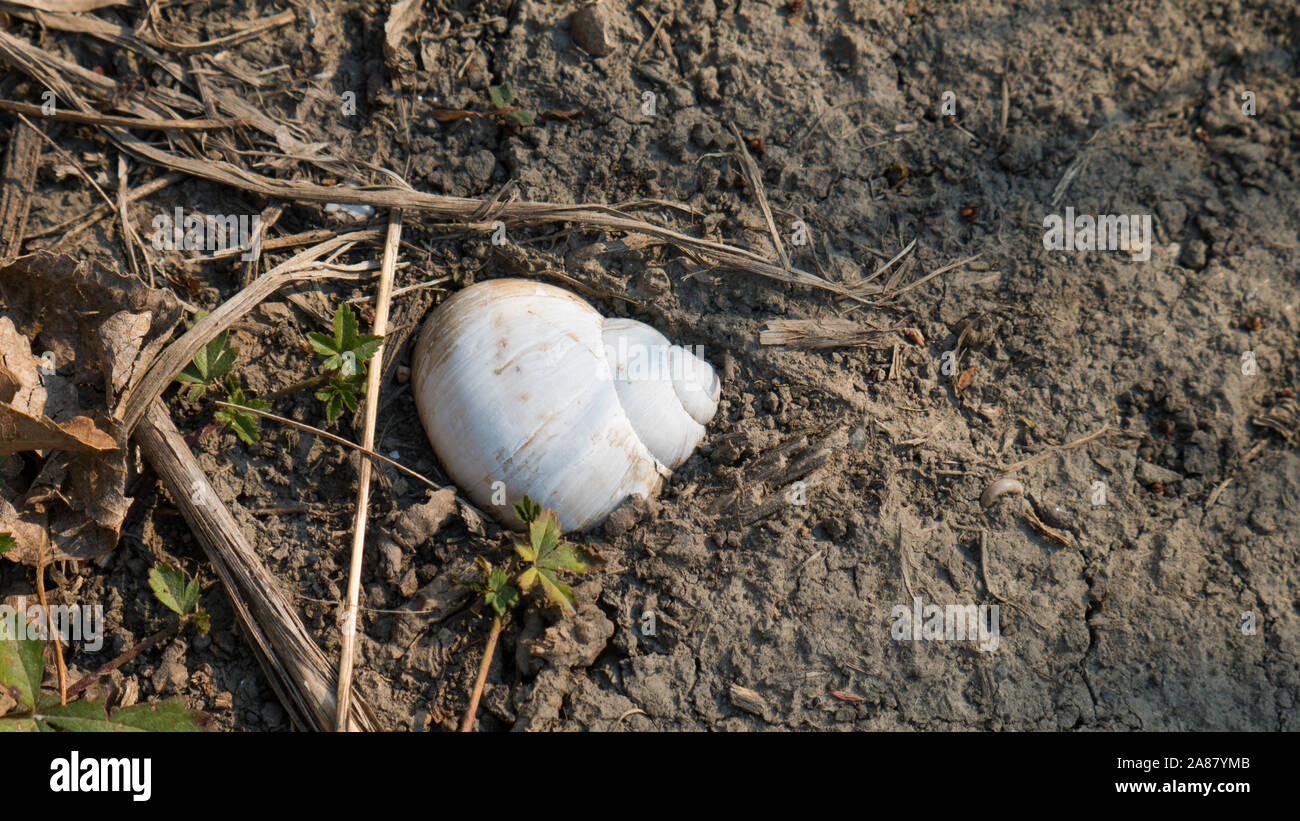 France food ground animal hi-res stock photography and images - Alamy