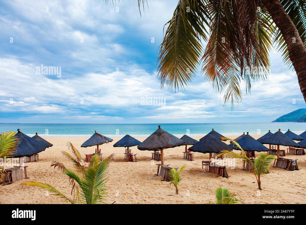 Palms and Sea relax tropical tourism lanscape Stock Photo - Alamy