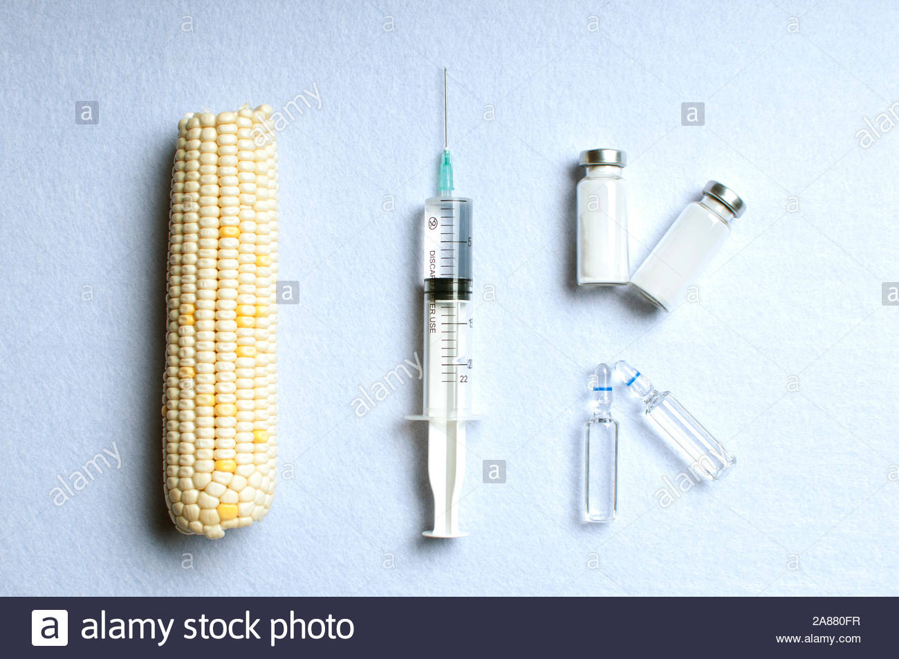 Genetically Modified Corn Stock Photos & Genetically Modified Corn ...
