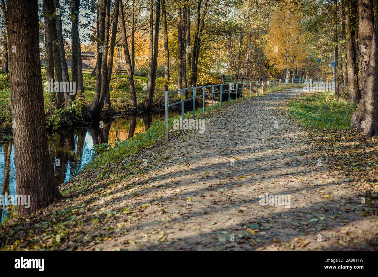Path in the autumn park along the river. Autumn landscape. Autumn trees ...