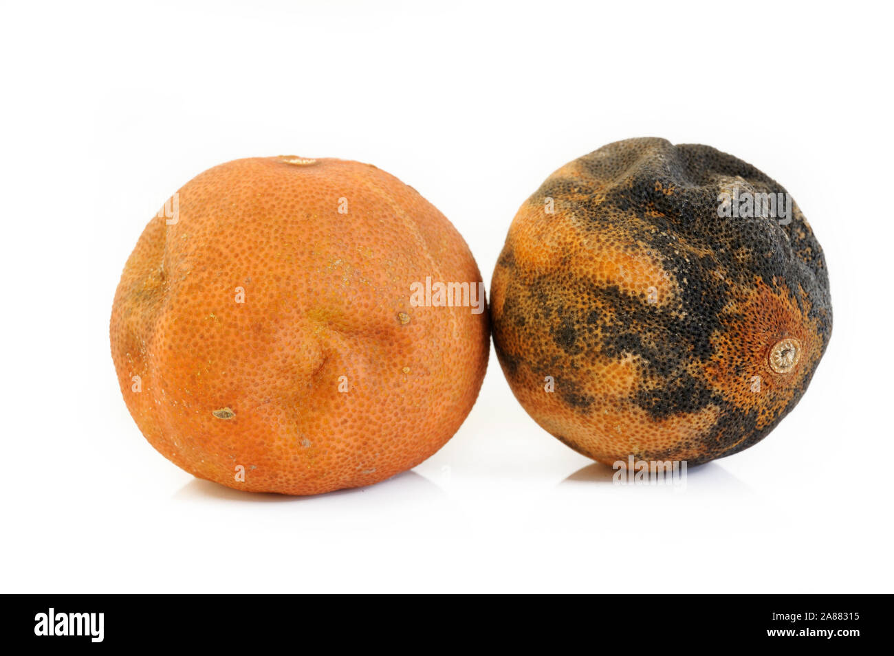 Rotten Lime High Resolution Stock Photography and Images - Alamy