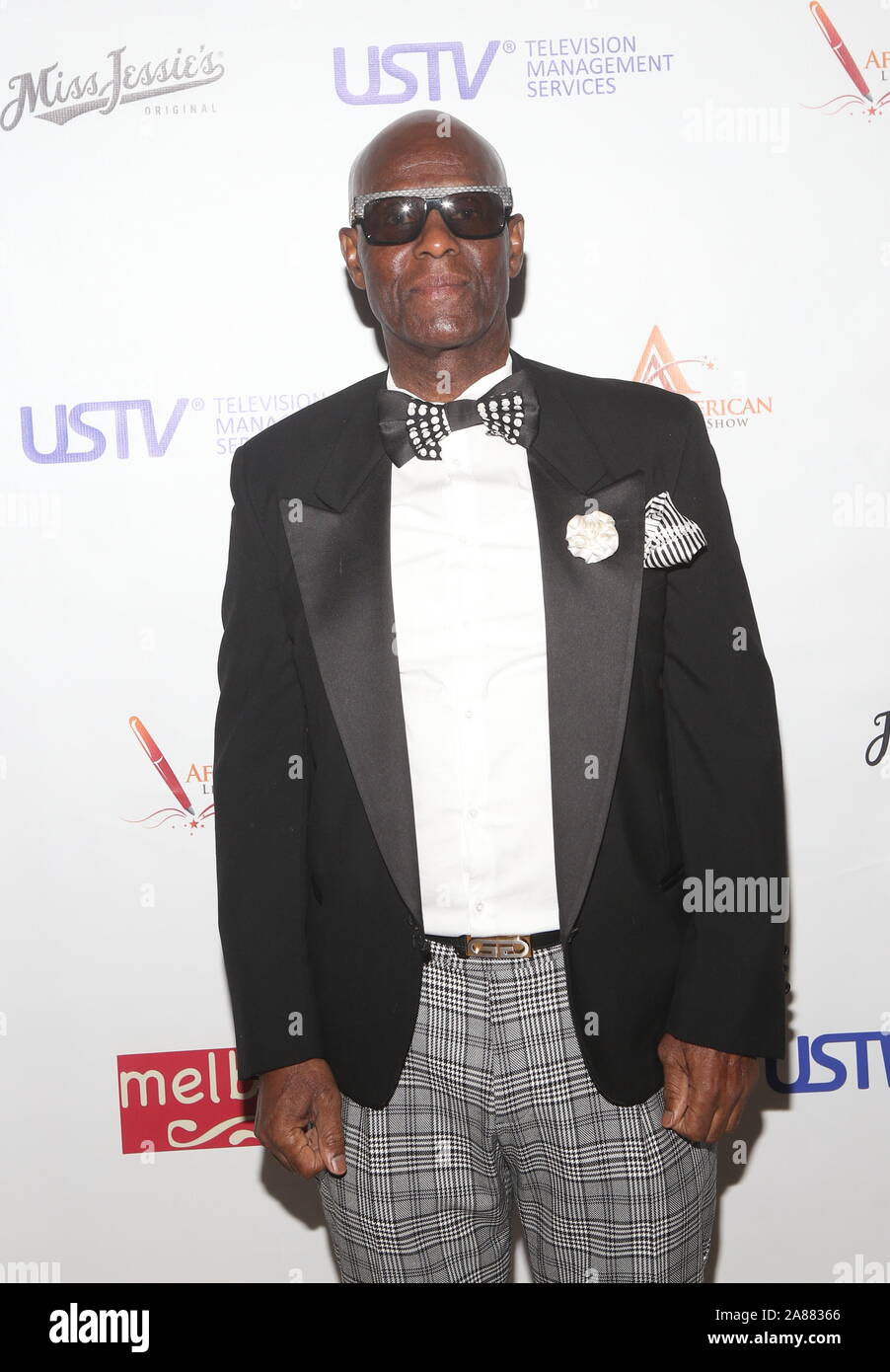 The 15th Annual African American Literary Awards held at The Schomburg ...